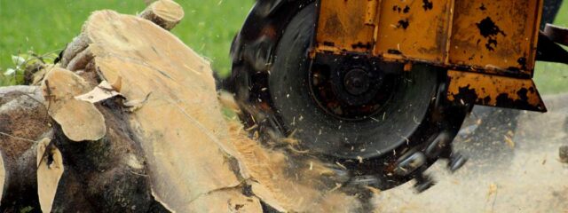 Rayco Stump Cutter Uses Parker Pump and Motor Combination