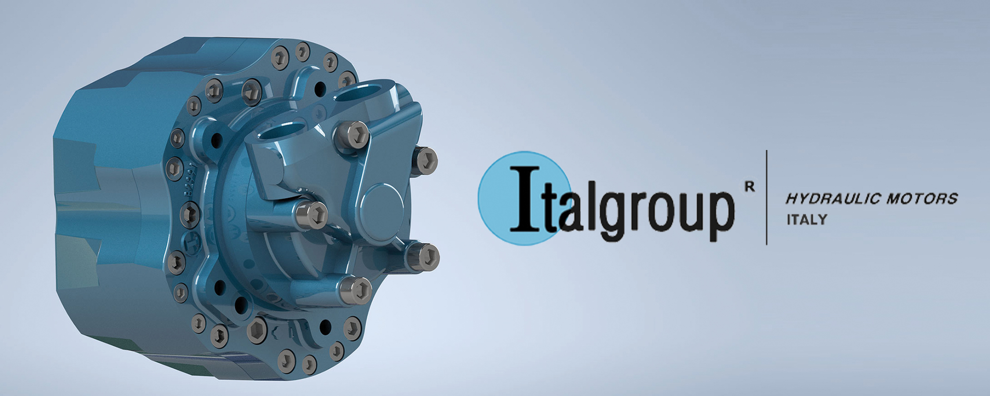 Italgroup HCD Radial Piston Motors - Hydraulics Online